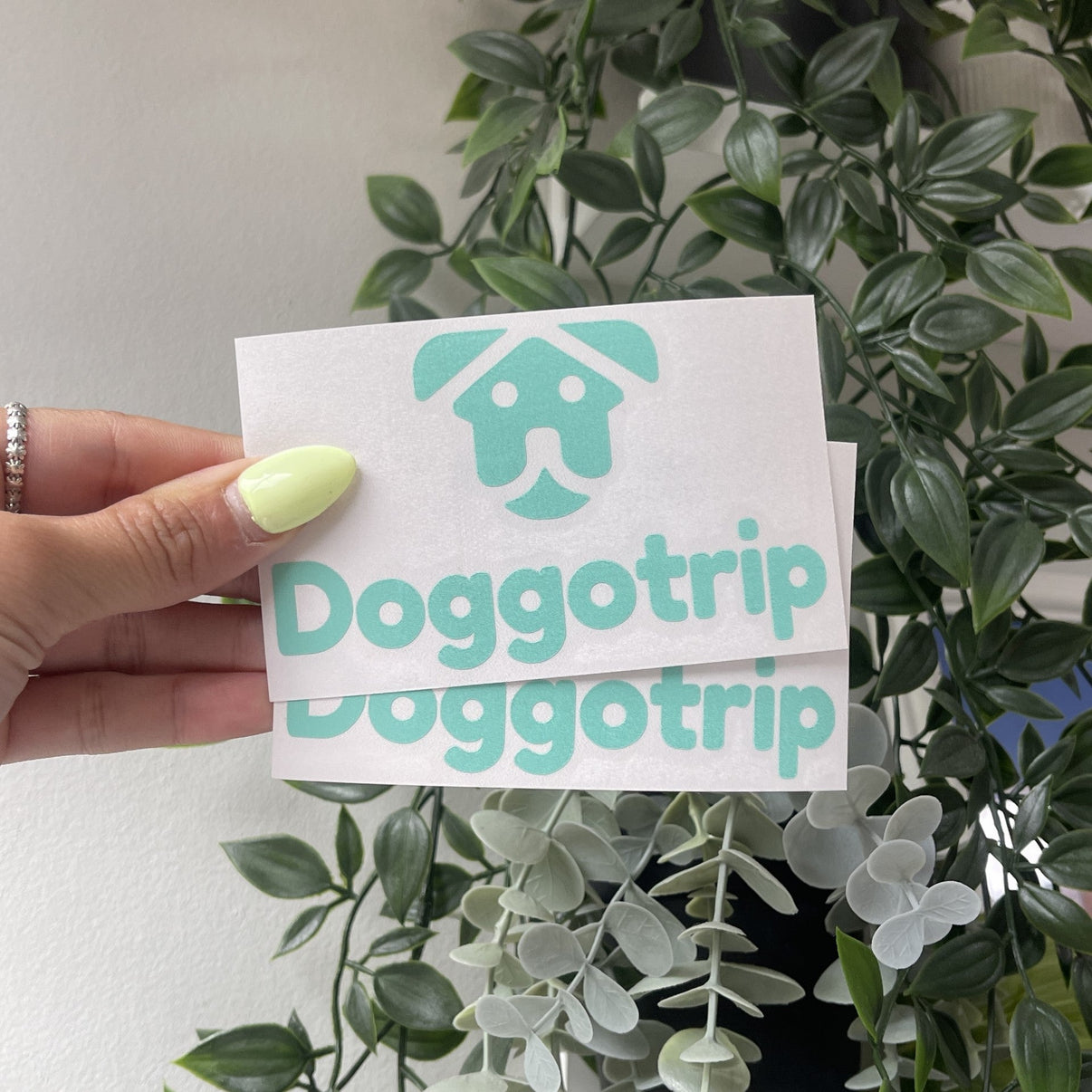 Custom Design Vinyl Decals Australia | Logo Decals | NTLPrint – ntlprint